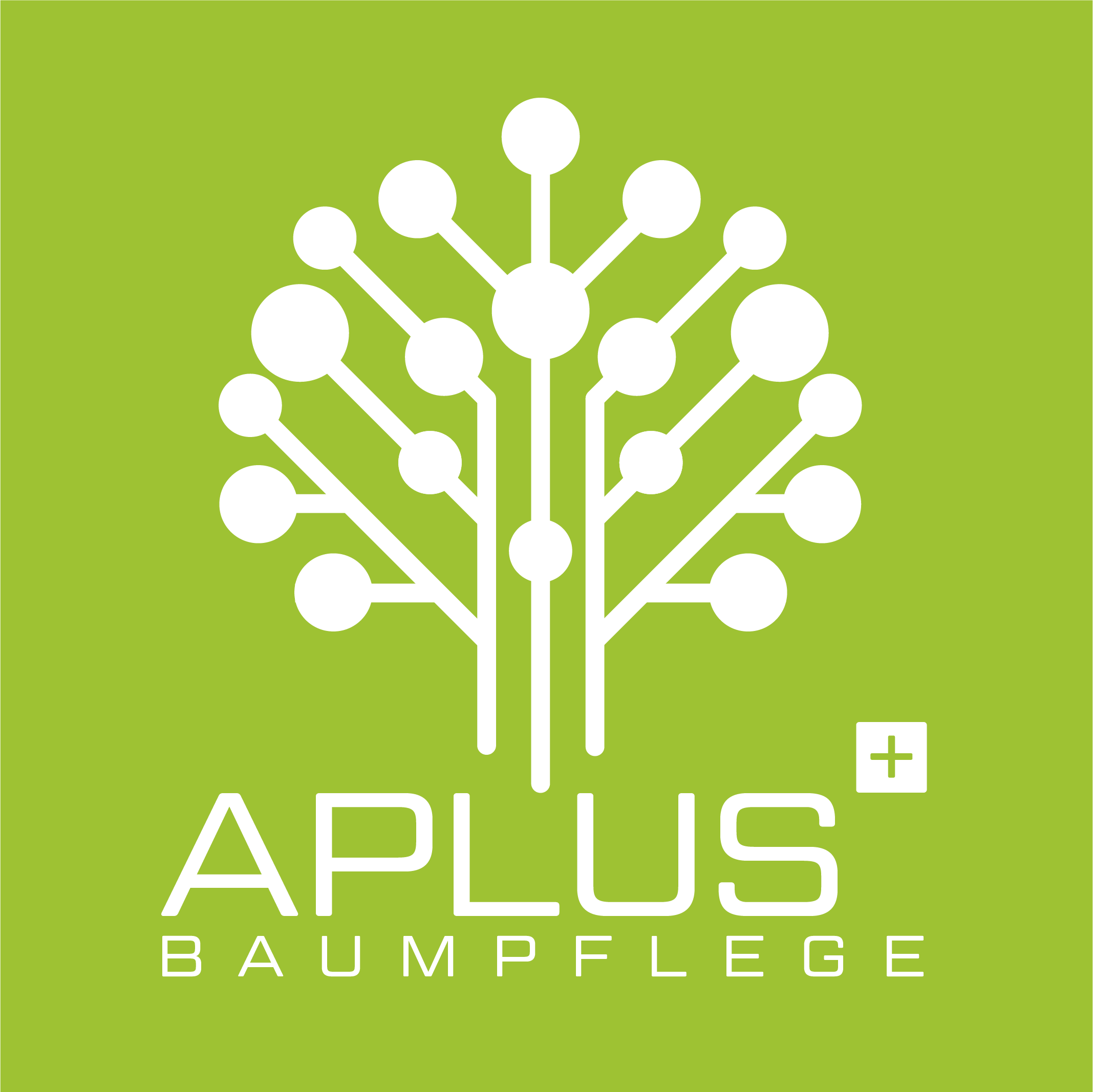 APLUS Baumpflegedienst | Baumpflege in Berlin & Brandenburg